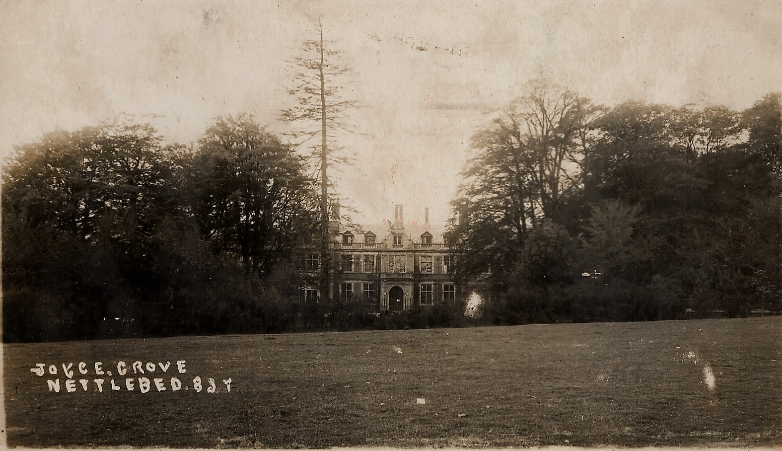 Nettlebed Photo Gallery – Nettlebed