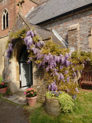 Nettlebed Photo Gallery – Nettlebed