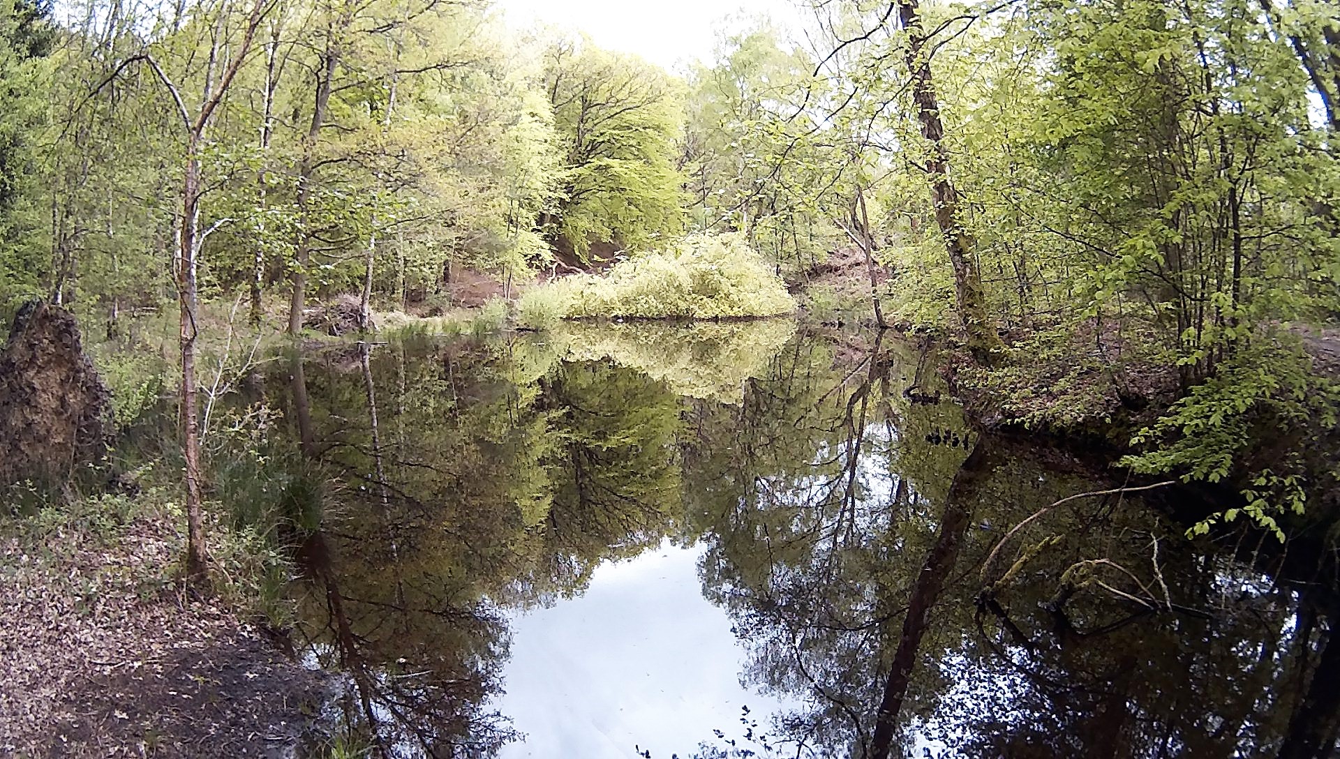 Nettlebed Photo Gallery – Nettlebed