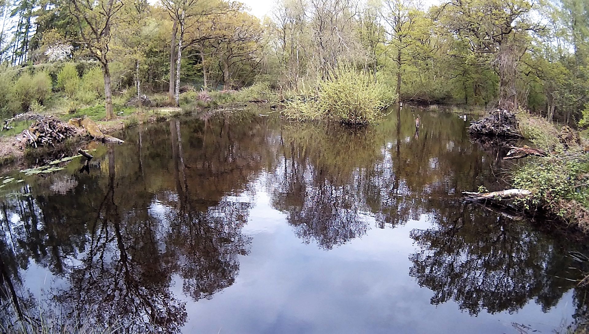 Nettlebed Photo Gallery – Nettlebed