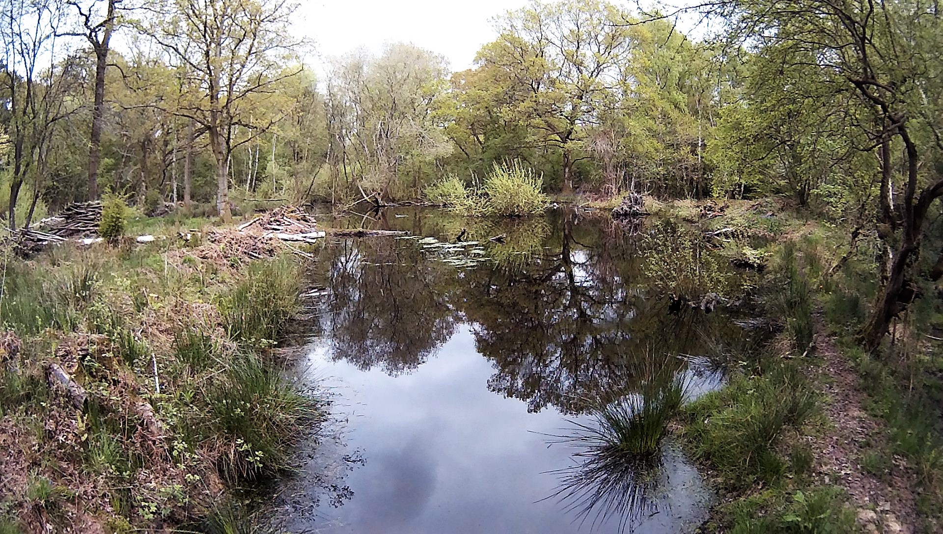 Nettlebed Photo Gallery – Nettlebed