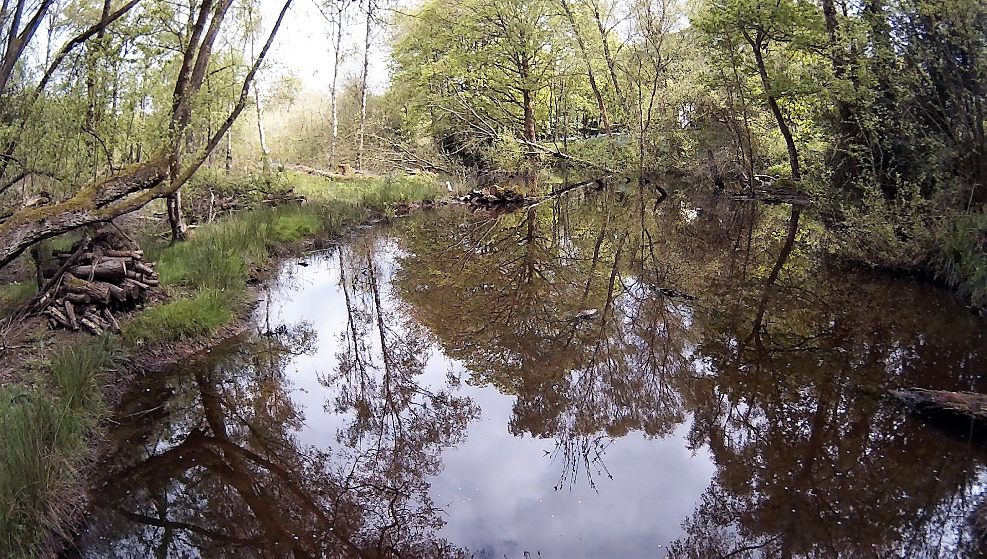 Nettlebed Photo Gallery – Nettlebed